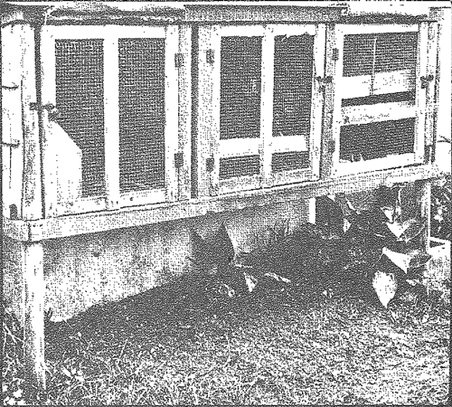 How To Build A Colony Chicken Coop – Mother Earth News